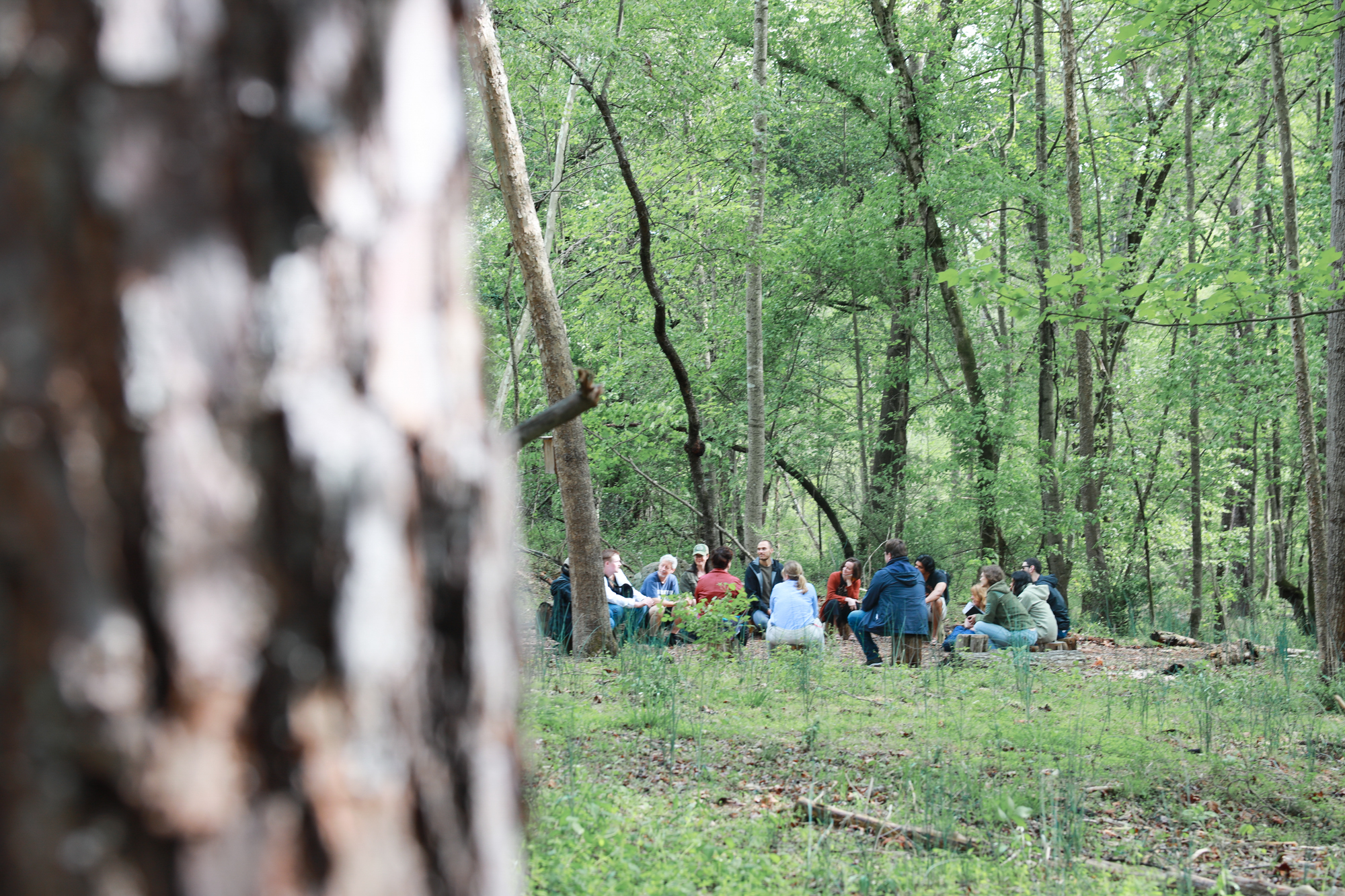 Hearth Cville – Spirituality in Nature